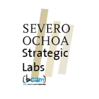 BCAM Severo Ochoa Lab on Singularity Theory